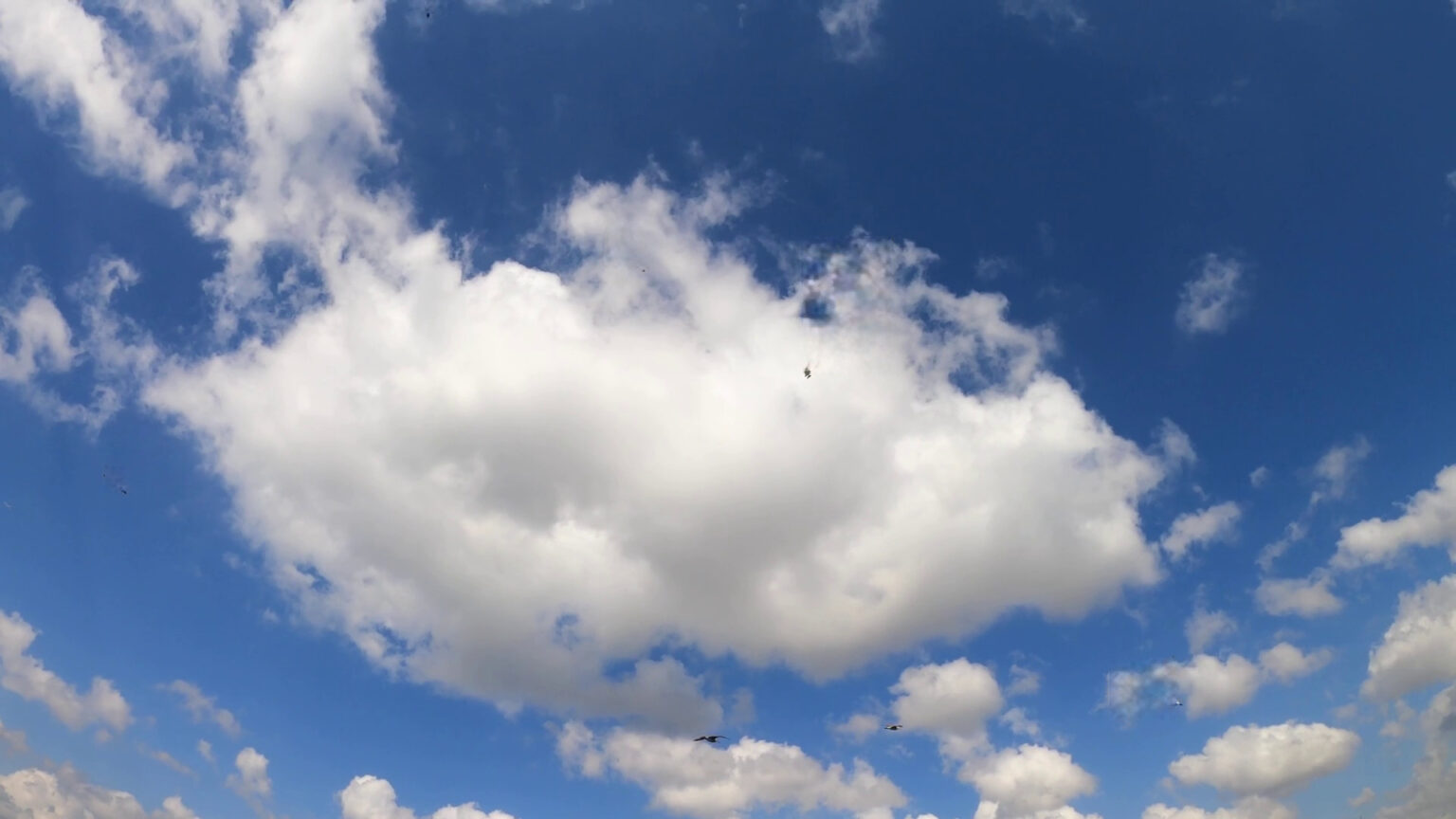 Inpainting画像をTecoGANで高解像度化してみた | FarmL